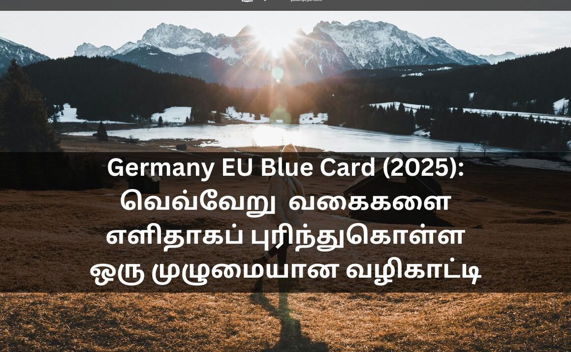 The EU Blue Card in Germany (2025): Understanding the Different Types - Pulampeyar.com